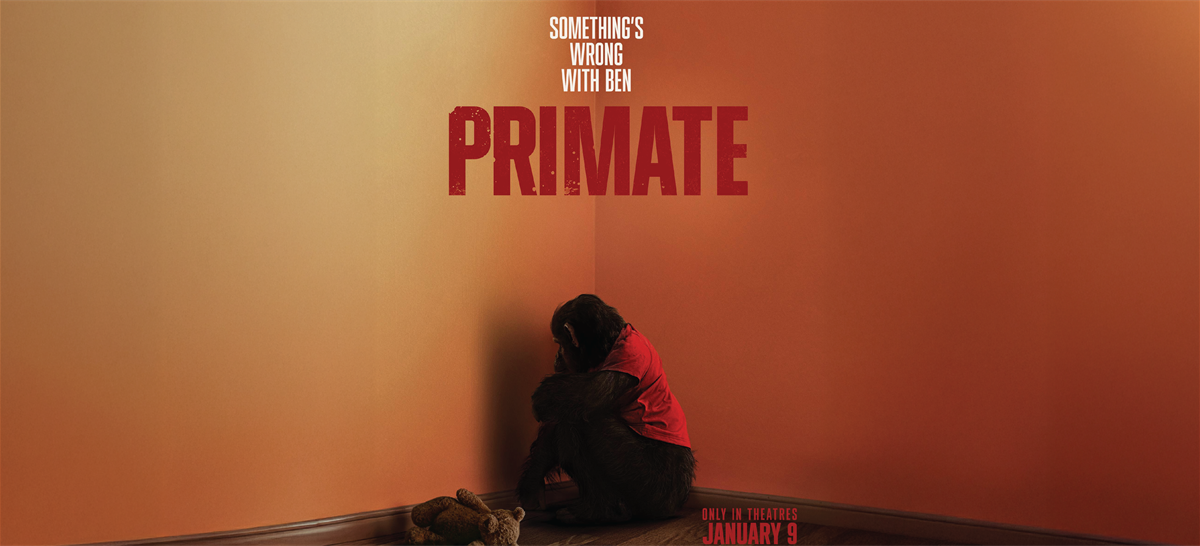 Primate | Whitsunday Regional Council